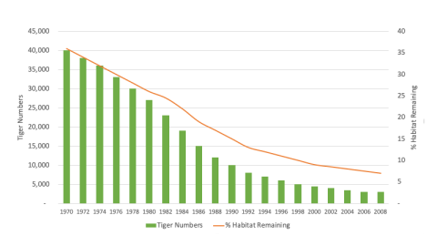 Background - Saving India's Tigers