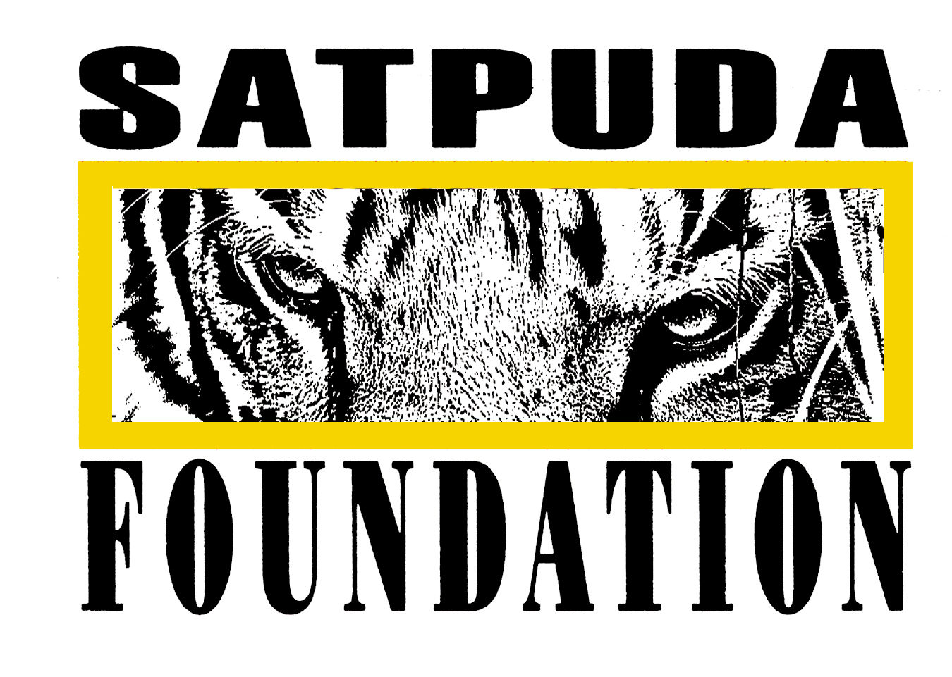 Partner Profile: Satpuda Foundation - Saving India's Tigers
